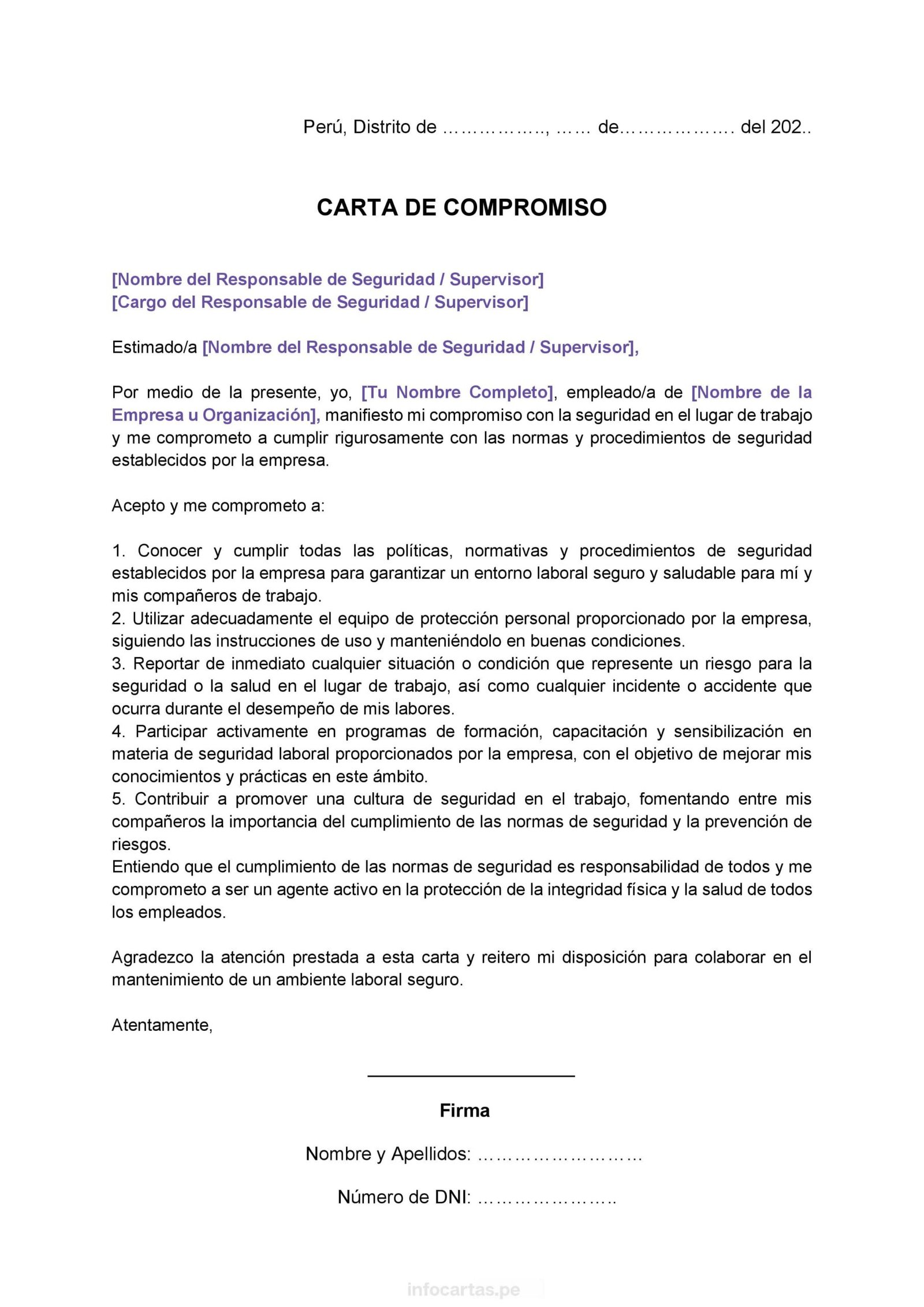 ᐅ Carta de Compromiso de Cumplimiento de Normas de Seguridad